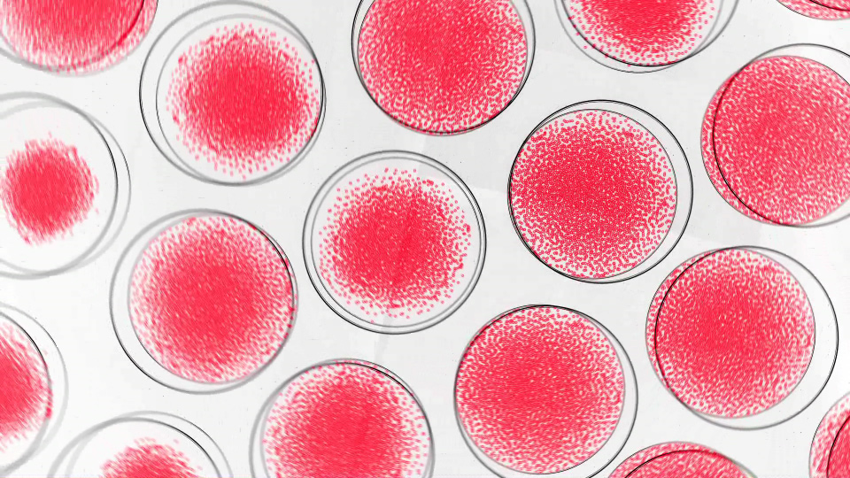 Project ALS - Edgeworx Studios LLC